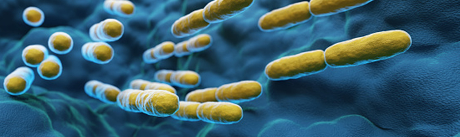 Online Degrees - University of West Florida